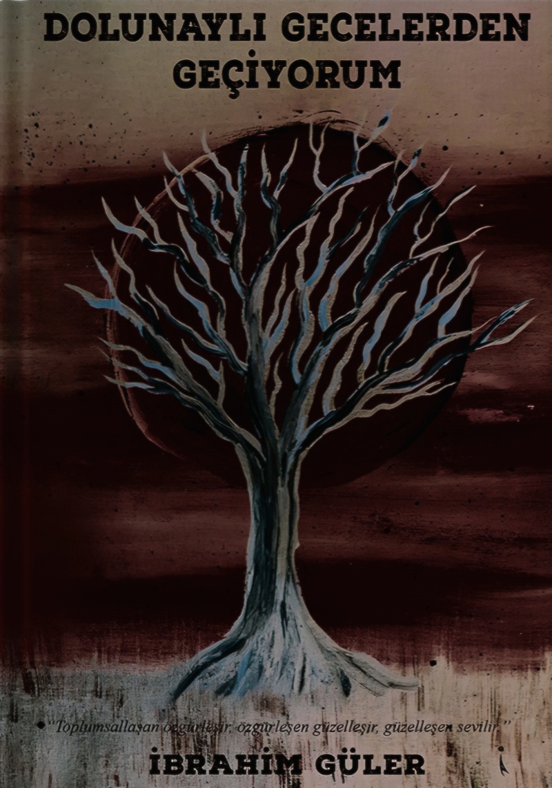 Dolunaylı Gecelerden Geçiyorum - İbrahim Güler - 1000Kitap