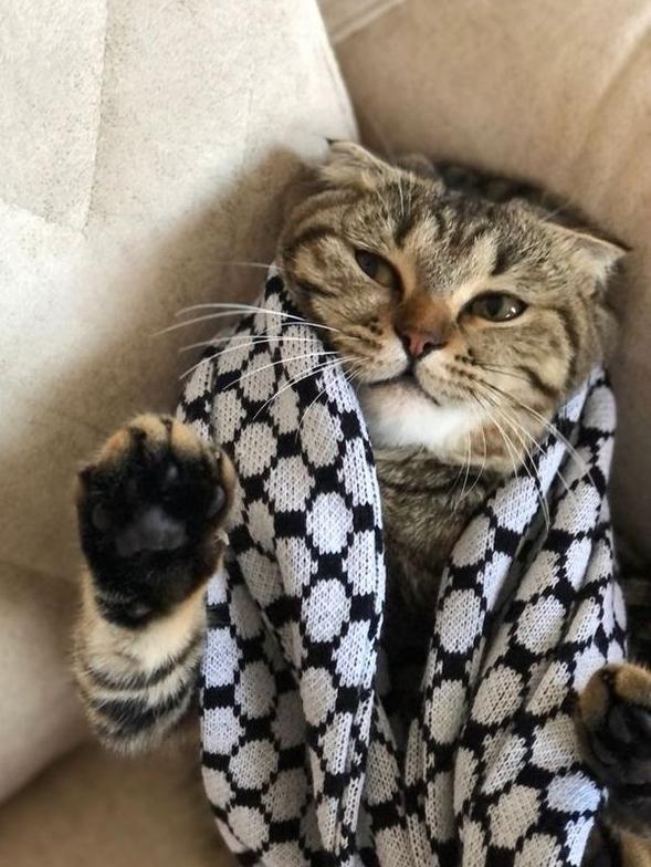 Monuk (@Yusra16) 1000Kitap'ta - 1000Kitap