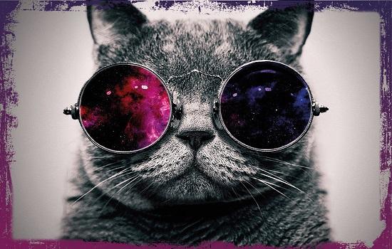 Carla weller (@carla_weller) Kitapları - 1000Kitap