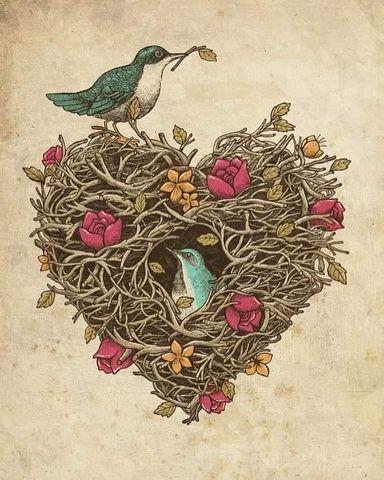 Kalbivera (@Jsjhs) 1000Kitap'ta - 1000Kitap