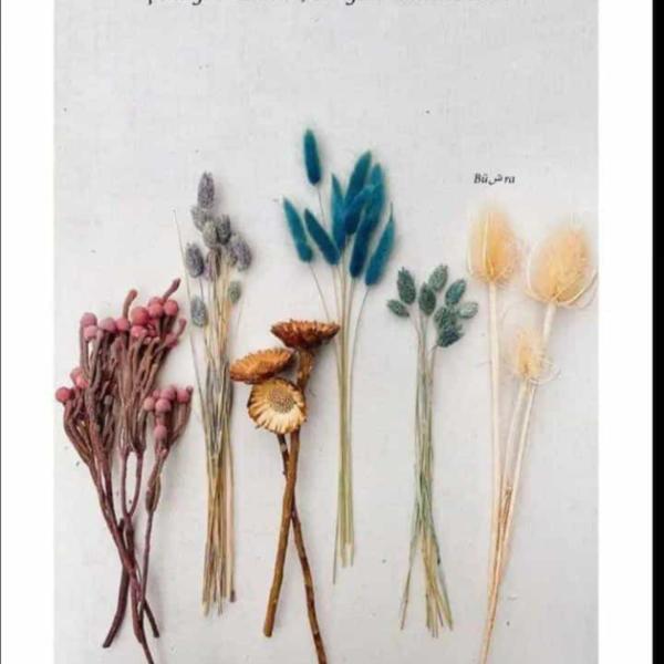 Hafsa Nur (@Hvsa) Kitapları - 1000Kitap