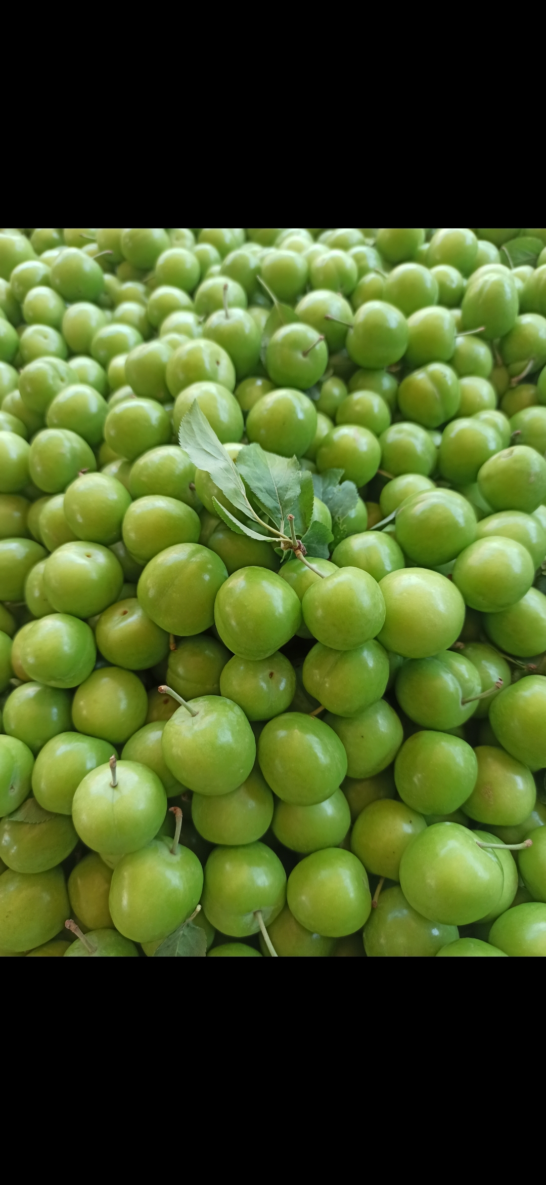 Ahmet Akar (@Ahmetakar33) 1000Kitap'ta - 1000Kitap